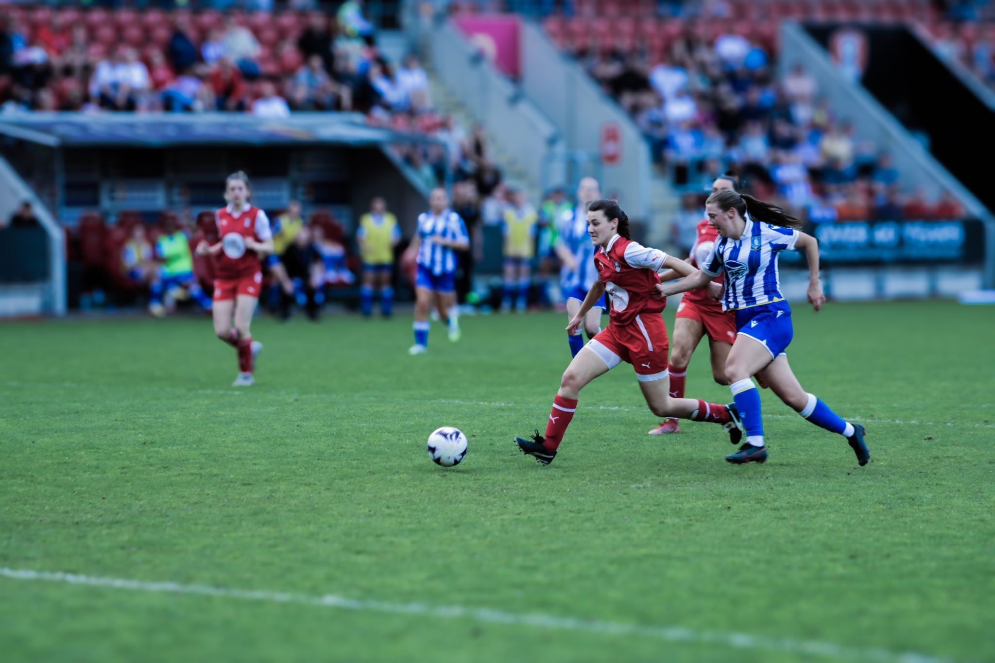 Sheffield Wednesday Ladies look back on a successful season - ShefNews