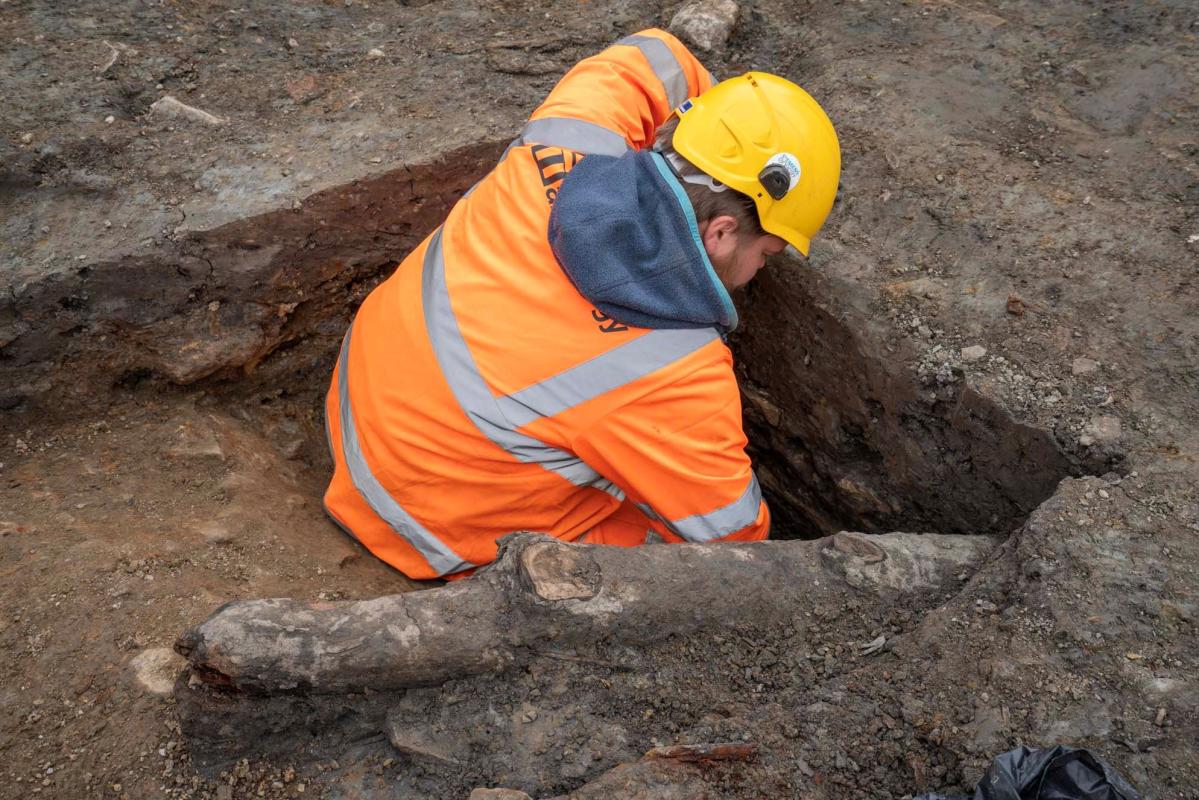 Archaeologists make new discovery at Sheffield Castle site - ShefNews